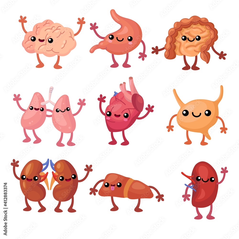 Funny human organs flat set for web design. Cartoon cute stomach, lungs ...