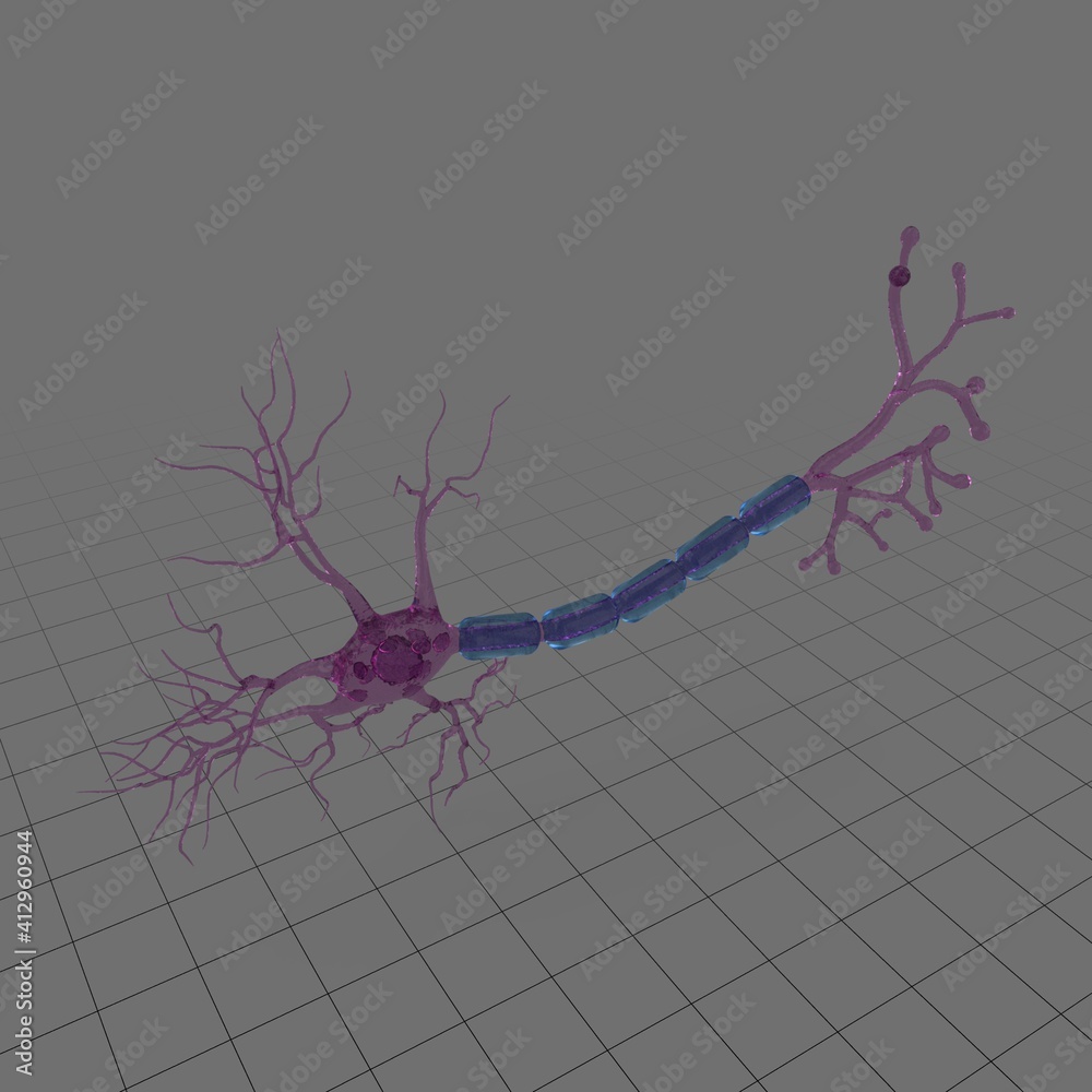 Neuron cell Stock 3D asset | Adobe Stock