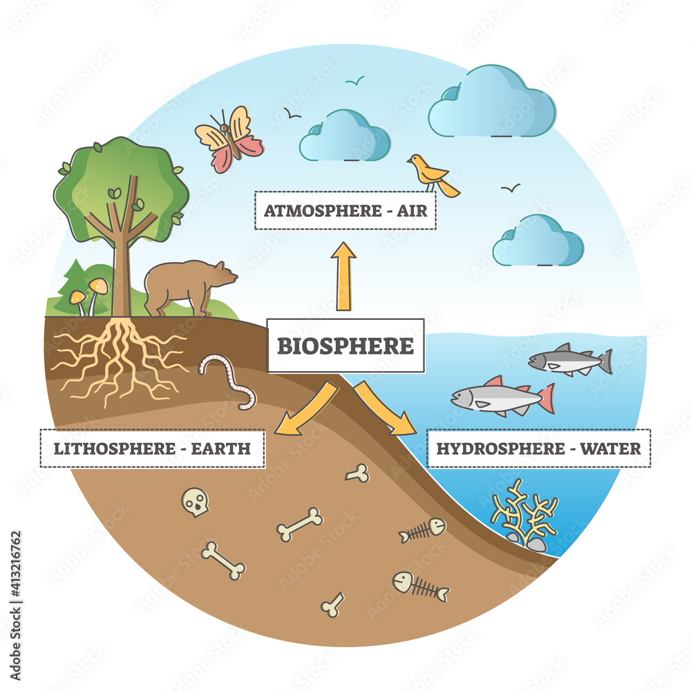 Poster Biosphere division with labeled ecosystem explanation scheme ...