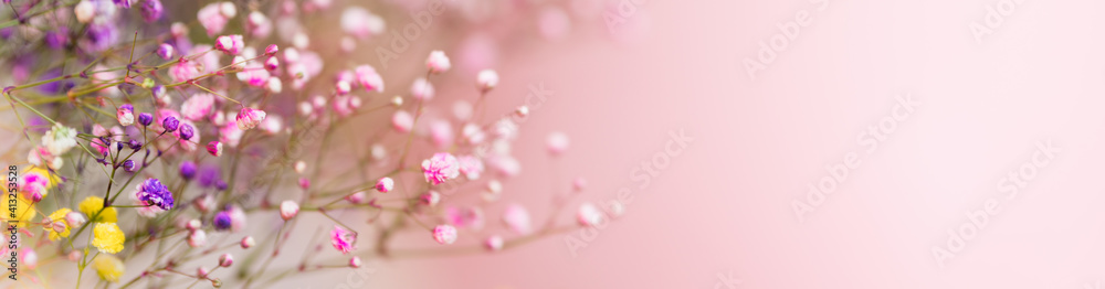 Nature of flower in garden using as cover page background natural flora ...