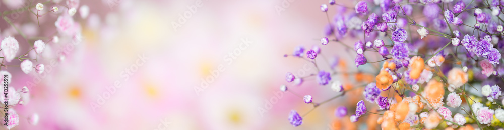 Nature of flower in garden using as cover page background natural flora ...