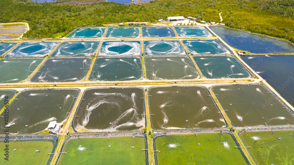 Aerial view of the prawn farm with aerator pump. Bohol, Philippines ...