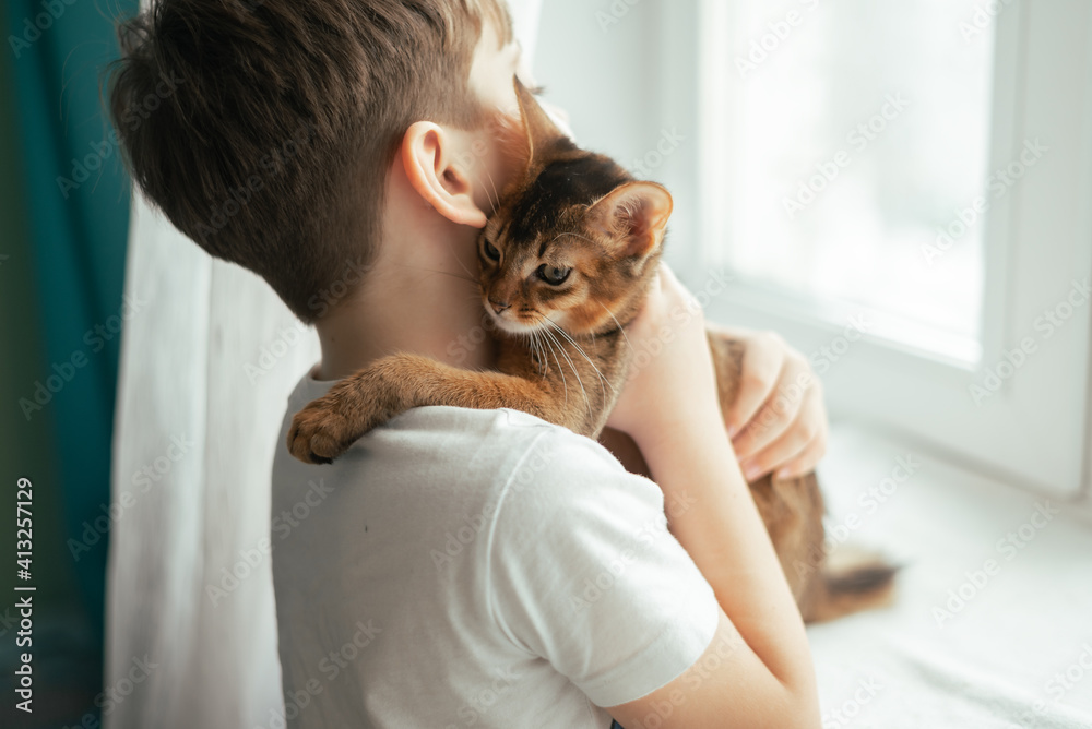 Little kid boy hugs his cat of red somali breed. Kids and animals ...
