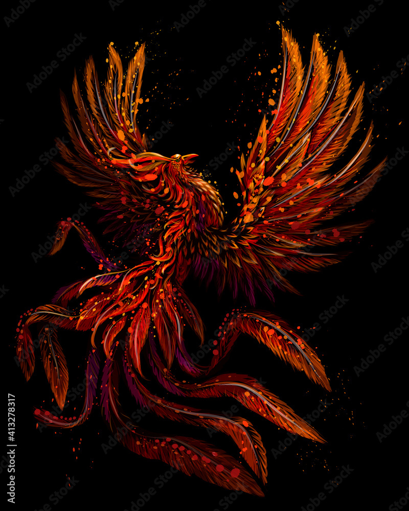 Phoenix. Color, graphic, digital drawing of the phoenix bird in ...