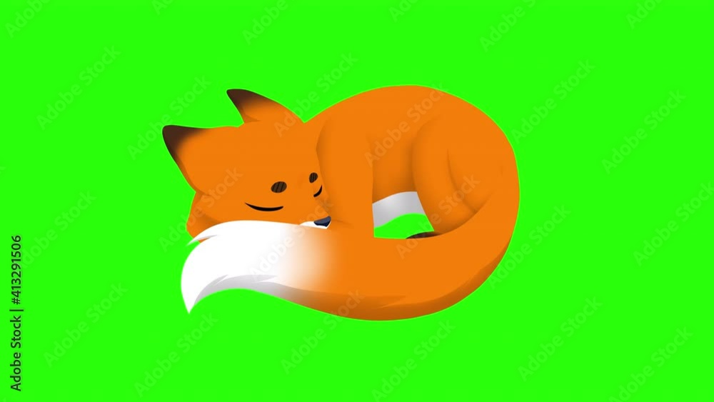 Cute cartoon sleepy fox 2d animation on chroma key green background ...