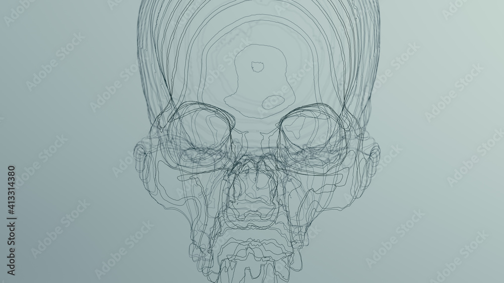 Black Anatomical Skull Line Art Wireframe Sculpture 3d illustration ...