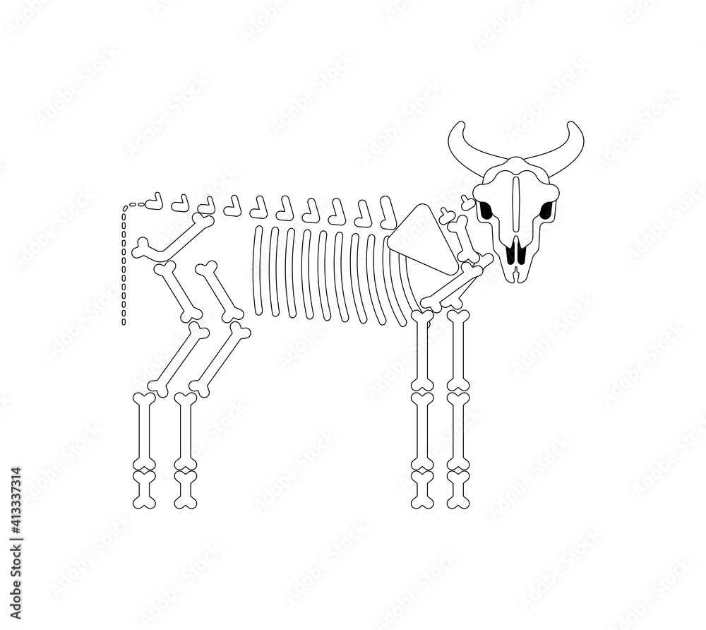Cow skeleton isolated. Farm animal bones. Bull anatomy. vector ...
