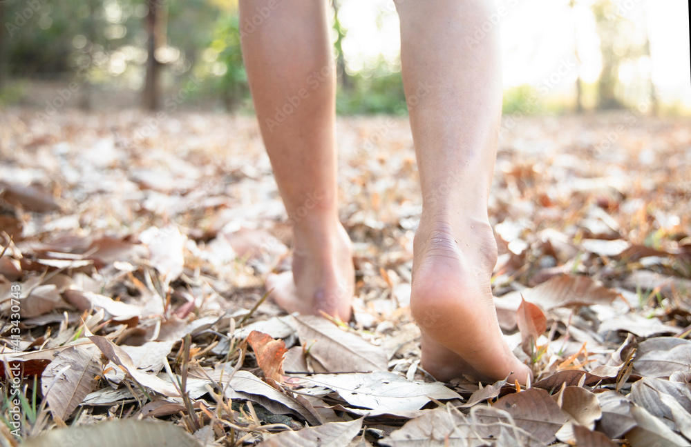 Walking Through Dry Leaves