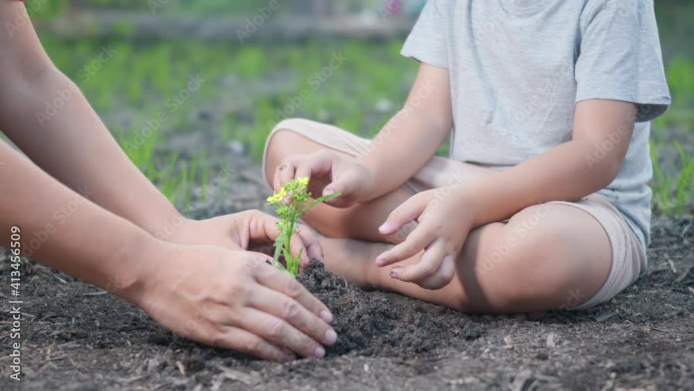 Little kid hand and parent planting growing tree in soil on garden ...