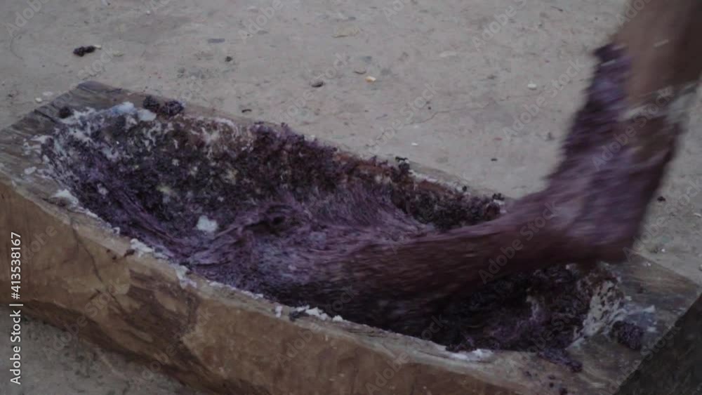 Purple Sticky Rice to Make Glutinous Rice Cake in the Hmong New Year ...