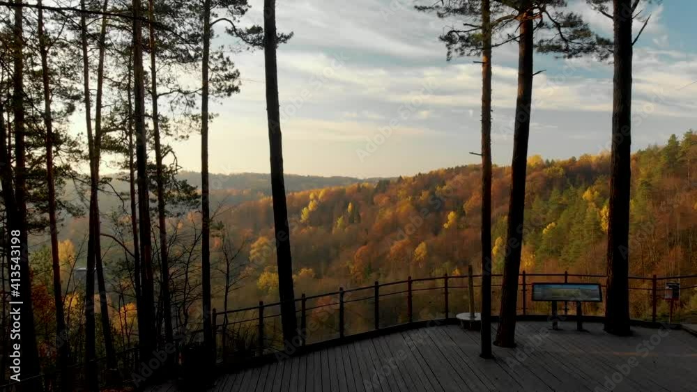 Beautiful foggy forest scene in autumn with orange and yellow foliage ...