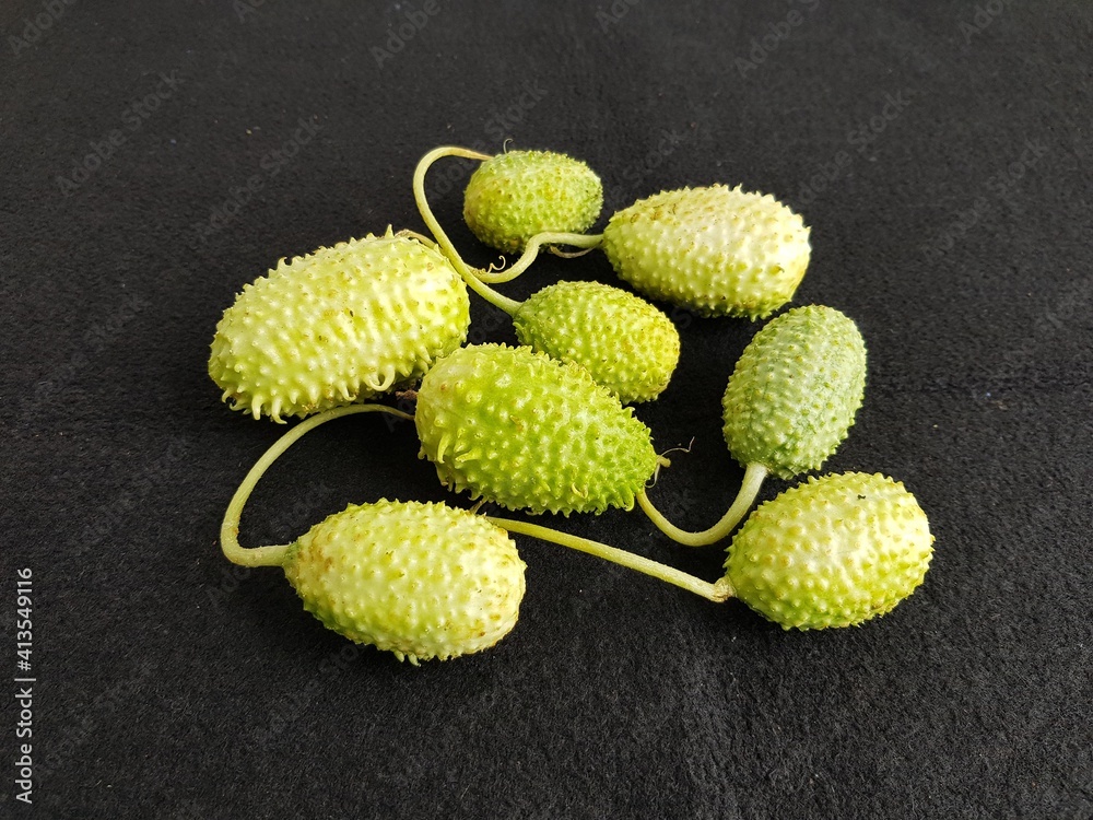 Cucumis anguria, commonly known as maroon cucumber, West Indian gherkin ...