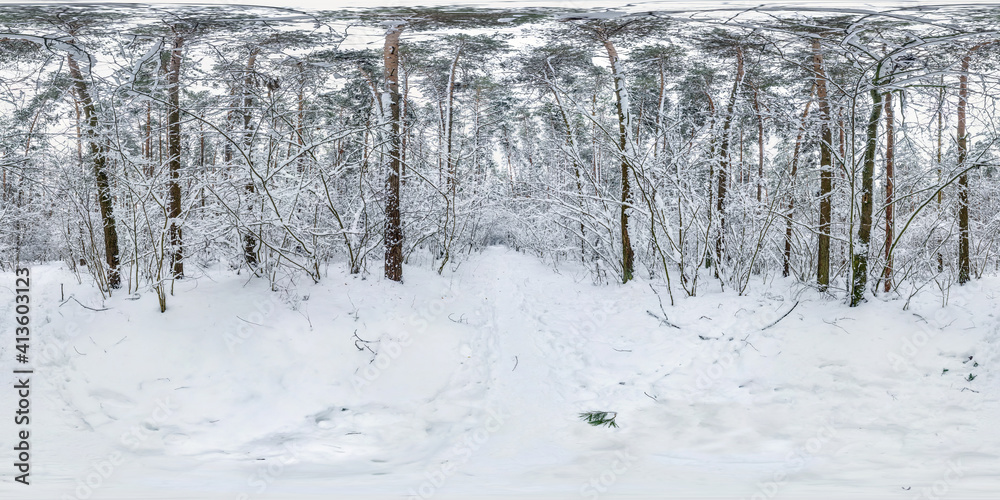 Winter full spherical hdri panorama 360 degrees angle view on path in ...