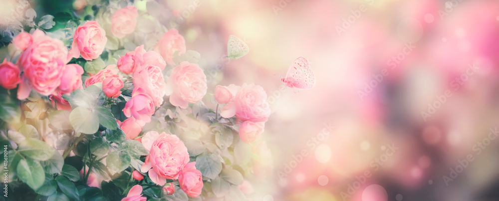 Facebook Cover Vintage Pink