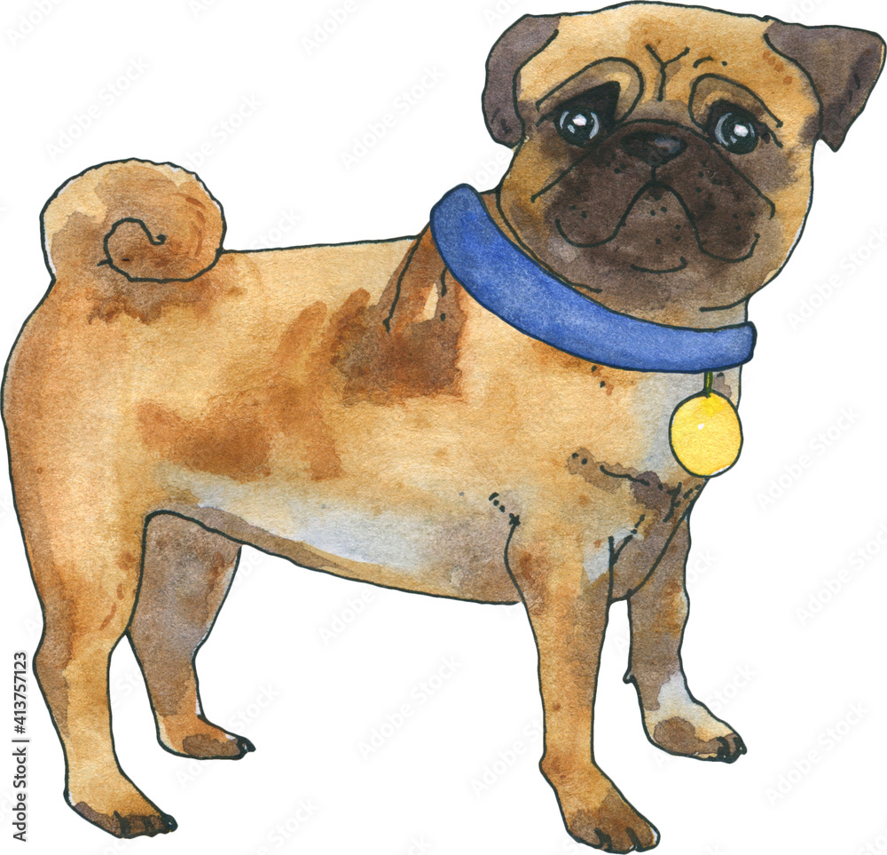 pug clip art watercolor clipart birthday party digital clipart dog ...