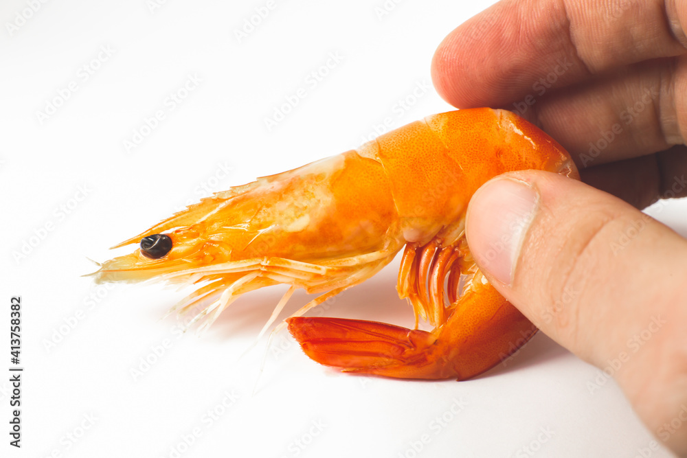 Shrimp Holding