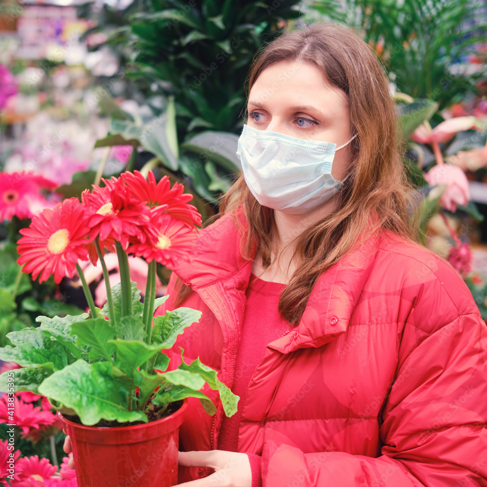 Woman gardener in face mask buys gerbera houseplants for her flower ...