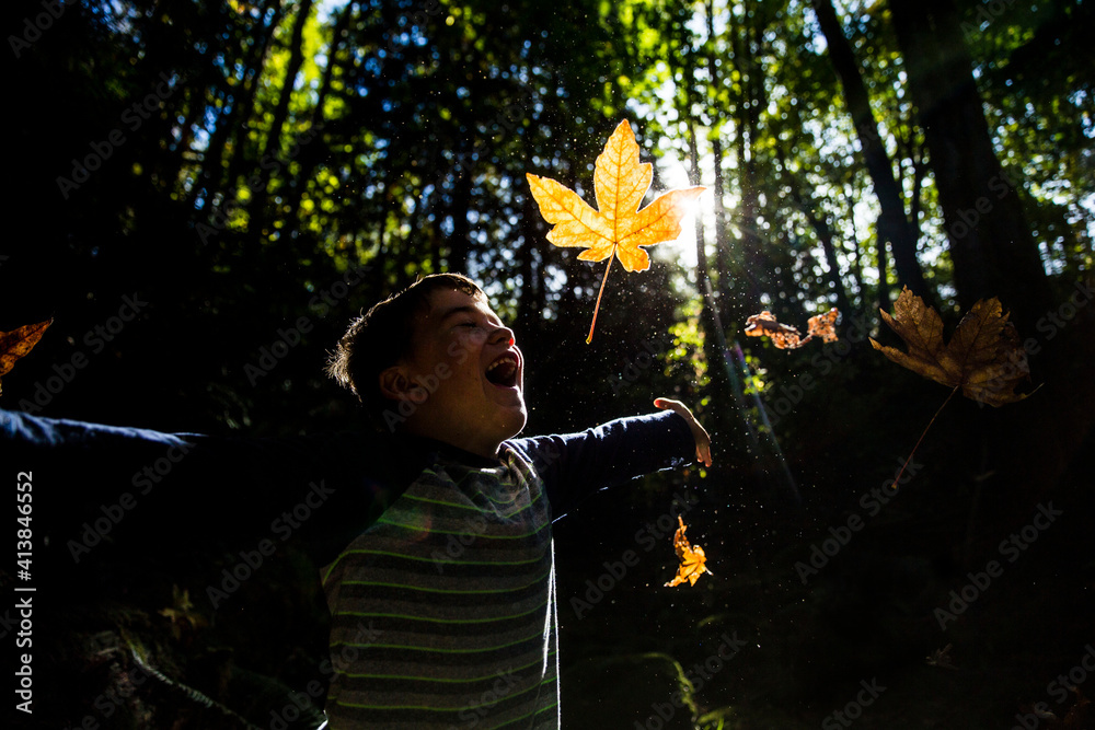 boy smiling joyfully with leaves falling Stock Photo | Adobe Stock