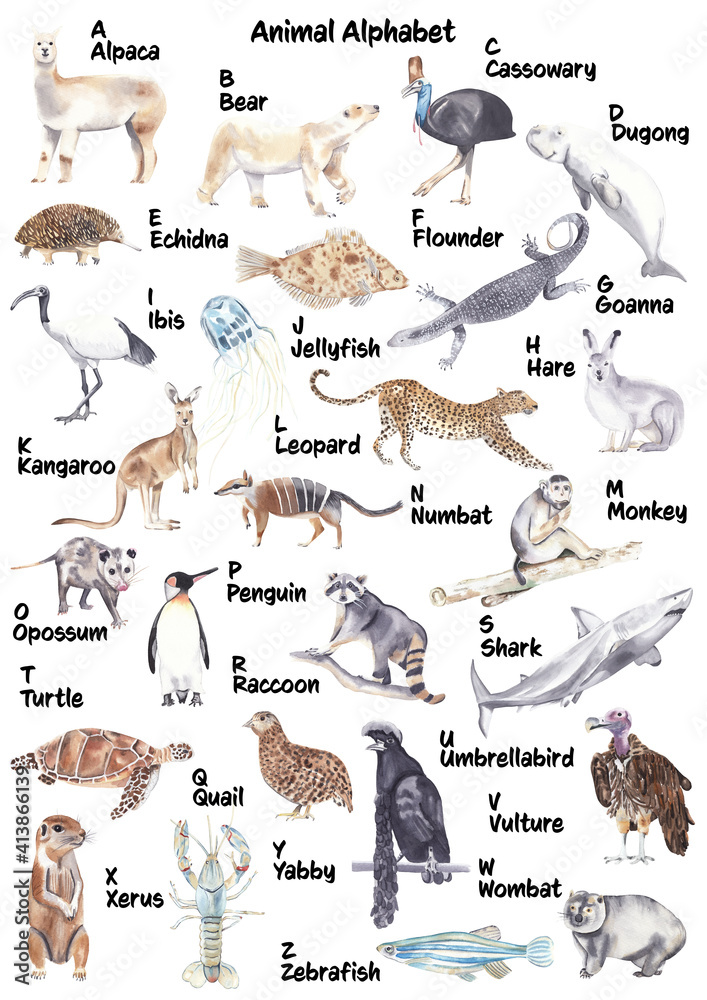 Watercolor animal alphabet Ocean & sea animals, safari & jungle animals ...