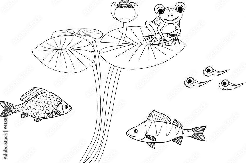 Coloring page with pond dwellers. Frog sitting on leaf of blooming ...