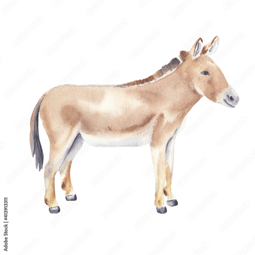 Watercolor donkey illustration Hand drawn realistic farm animal ...