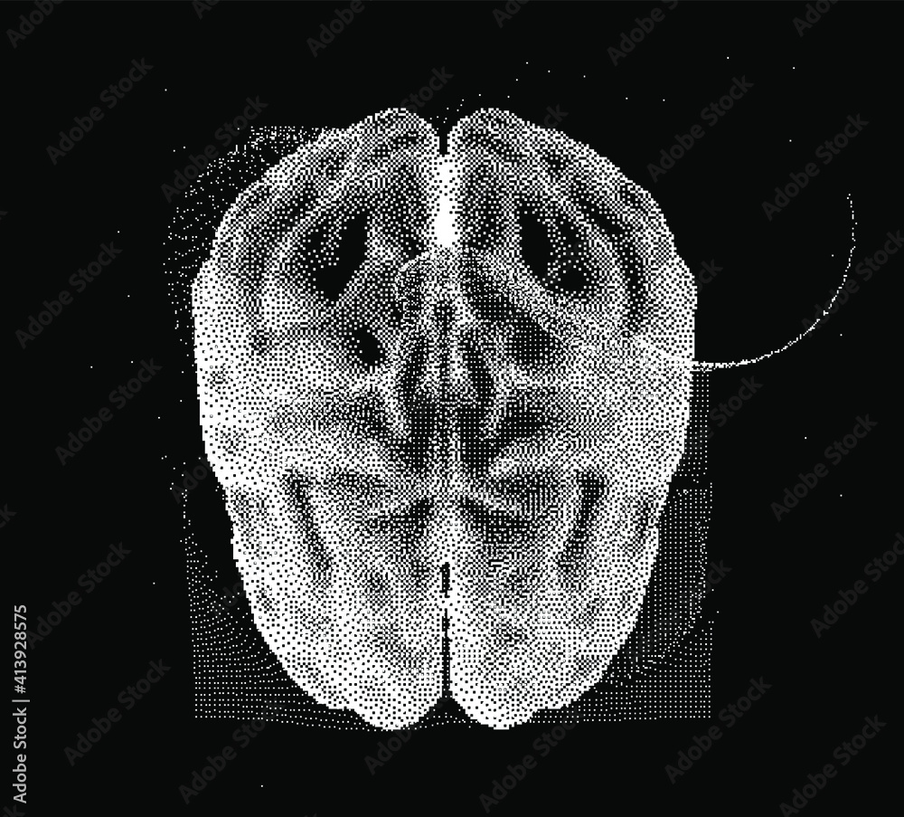 3D vector illustration of brain made of pixels and particles. Concept ...