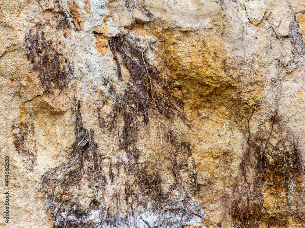 Natural stone,natural stone structure on the cut, streaked with roots ...