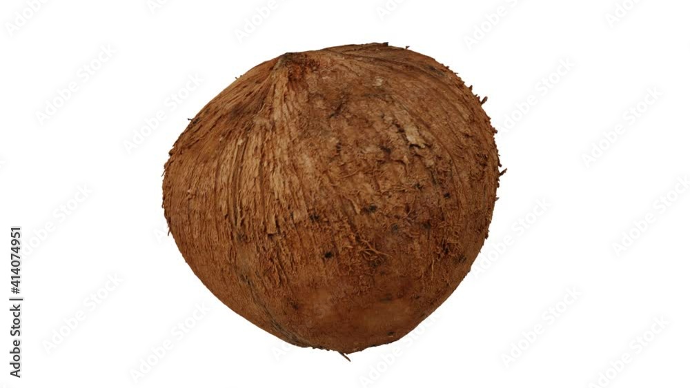 Realistic render of a rotating Husked Ripe Coconut on white background ...