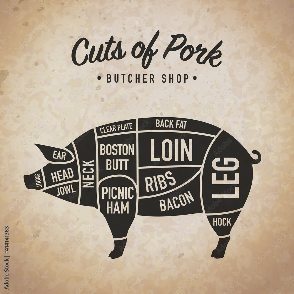 Cuts of Pork. Meat Diagram and Scheme. Poster for butcher shop. Vintage ...