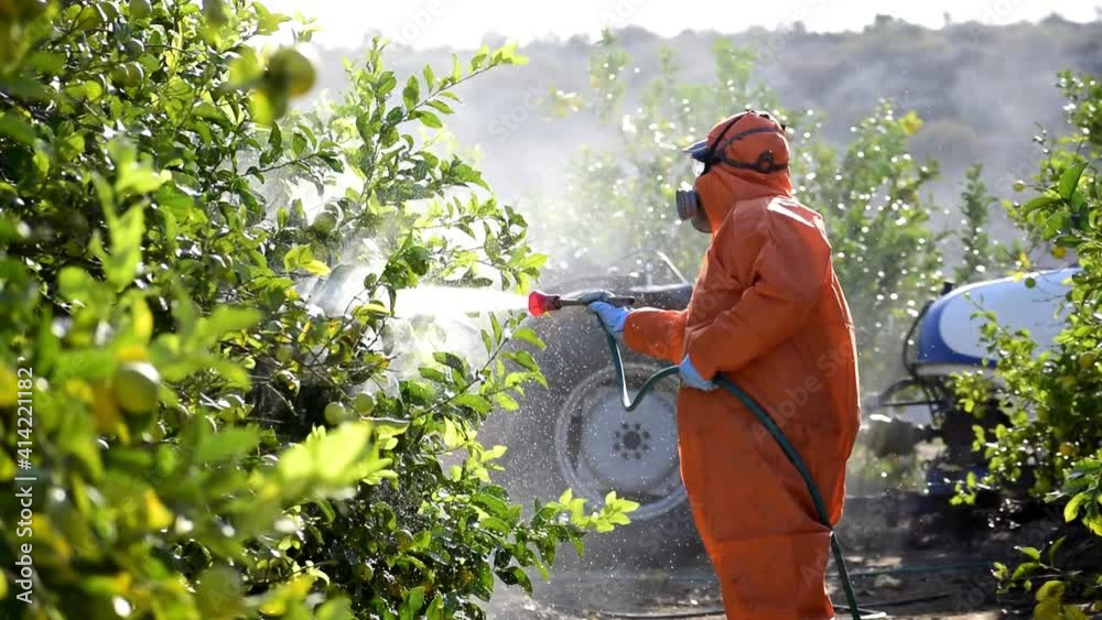 Spray ecological pesticide, pest, pesticides. Farmer fumigate in ...