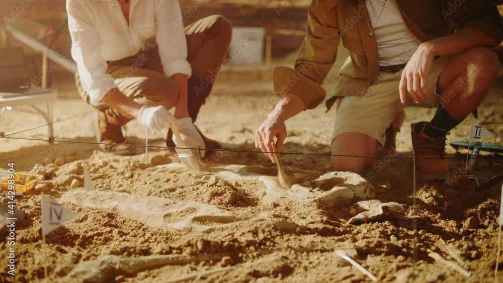 Vidéo Stock Archaeological Digging Site: Two Great Paleontologists ...