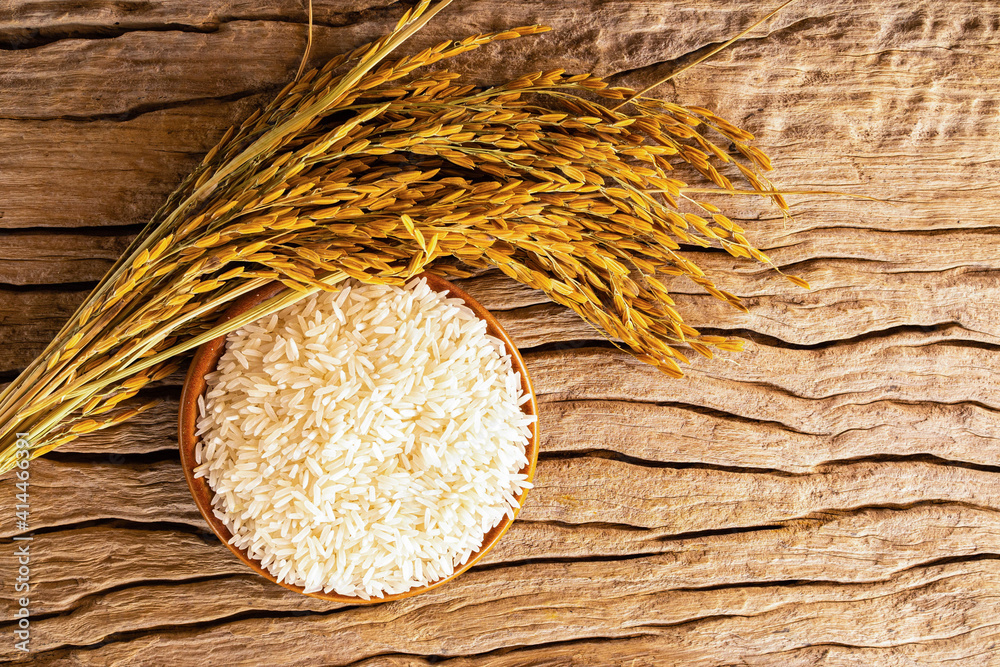 Paddy rice with ears of rice old wood texture.Rice is a staple food for ...