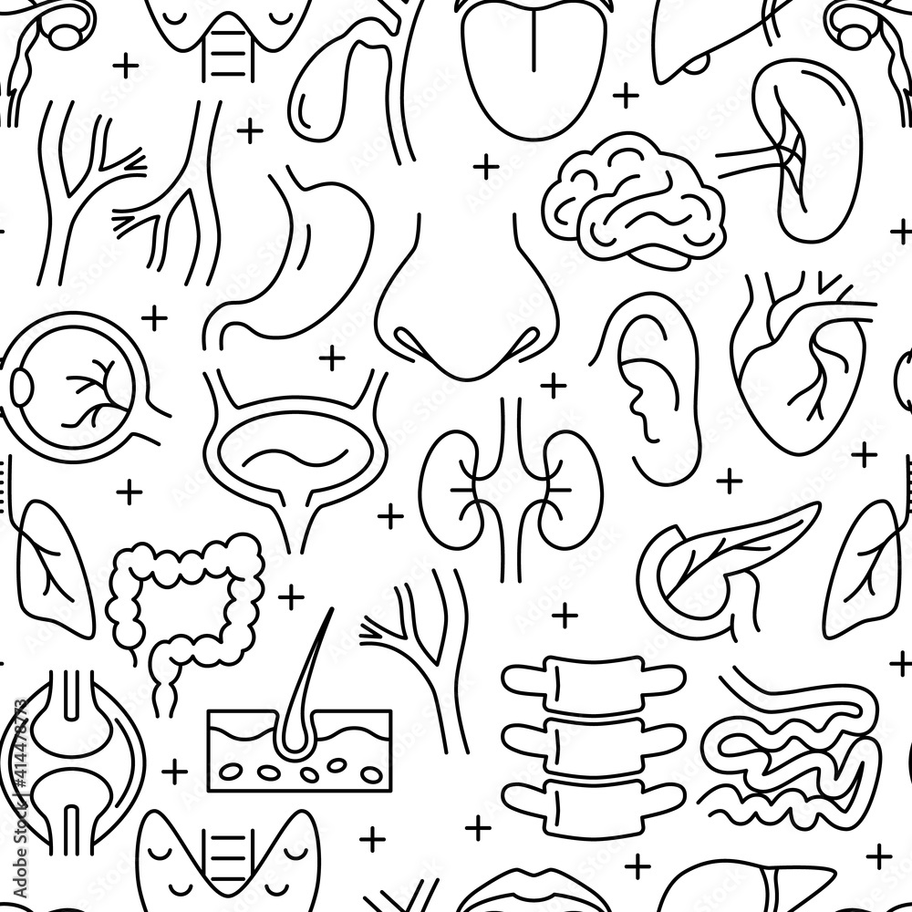 Medical seamless pattern with human internal organs symbols Stock ...