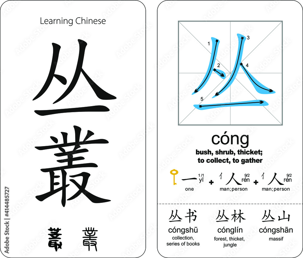 Learning chinese characters. How to write 丛 (cóng) - bush, shrub ...