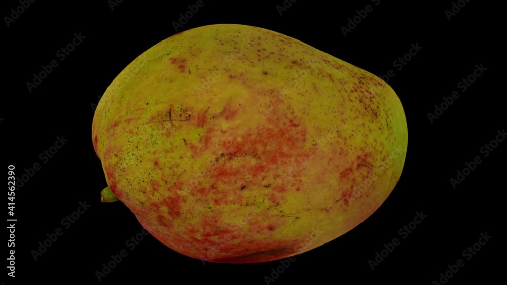 Realistic render of a rolling Apple Mango (from Philippines) on black ...