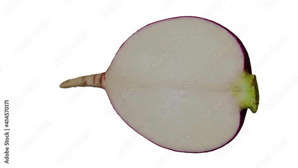 Realistic render of a spinning half Red Radish on white background. The ...