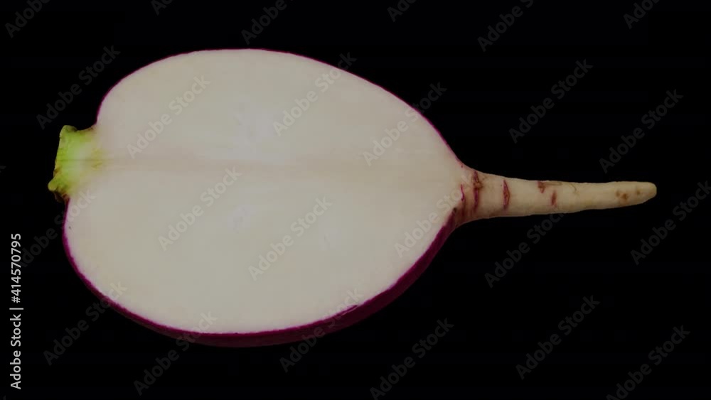 Realistic render of a rolling half Red Radish on transparent background ...