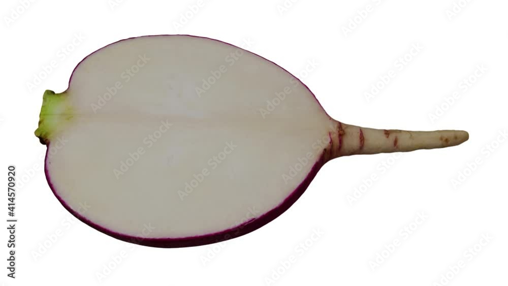 Realistic render of a rolling half Red Radish on white background. The ...