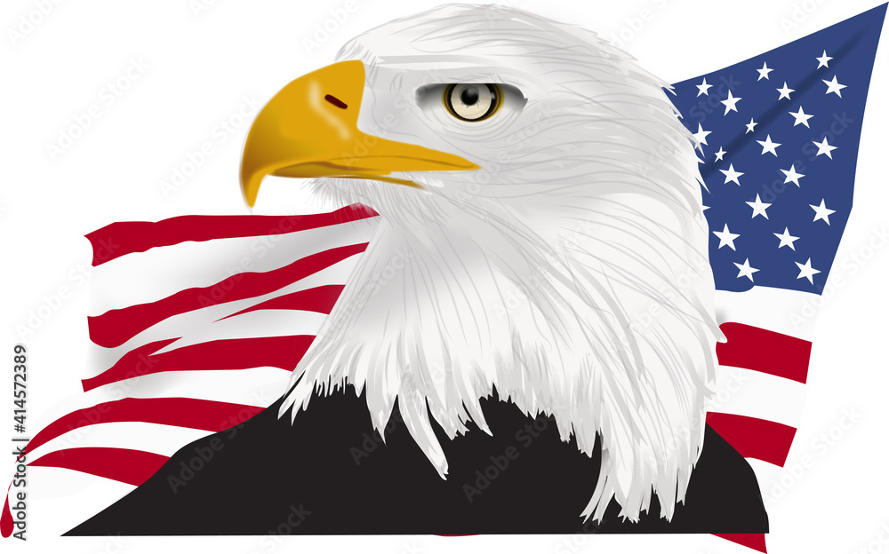 American bald eagle drawing with yellow beak and American flag back ...