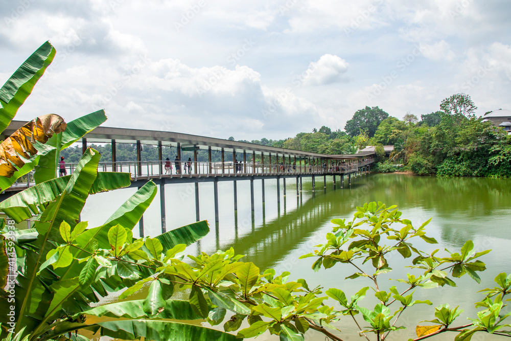 Foto de the bridge over upper seletar reservoir in Singapore River ...