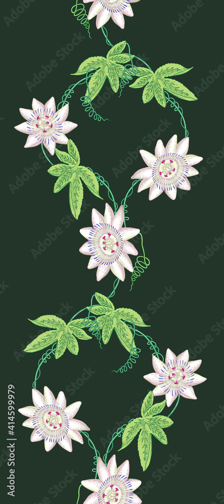 Tropical passion fruit flowers. Hand-drawn Passiflora, leaves, and ...