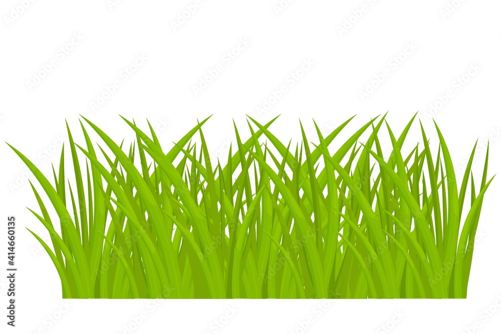 Cartoon green grass in cartoon style isolated on white background stock ...