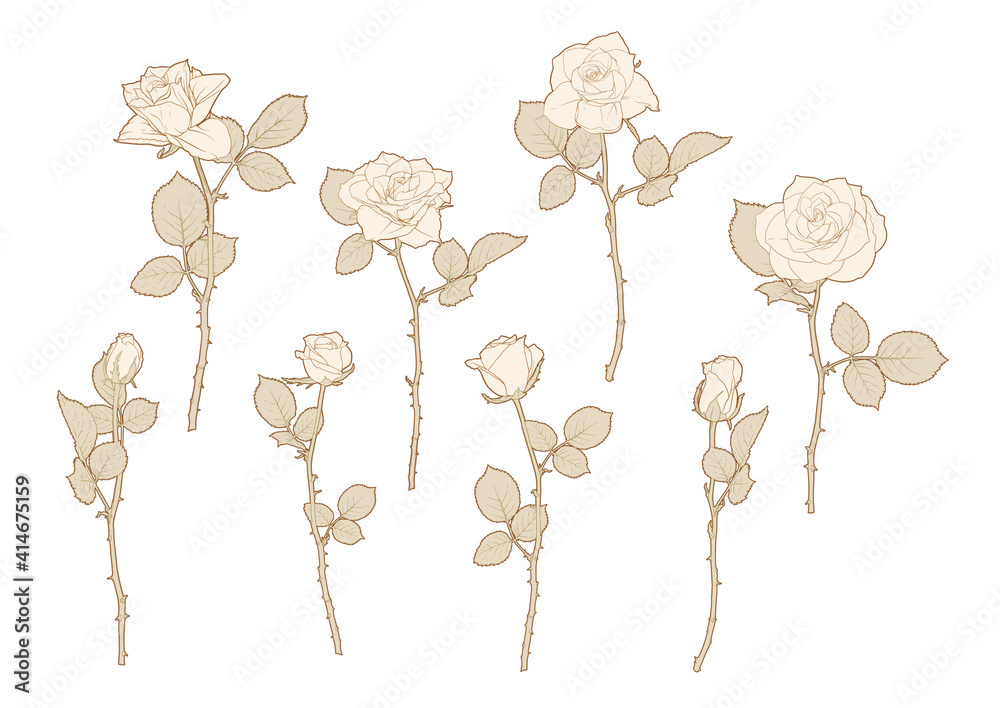 Roses flowers Clip art, set of elements for design Outline hand drawing ...
