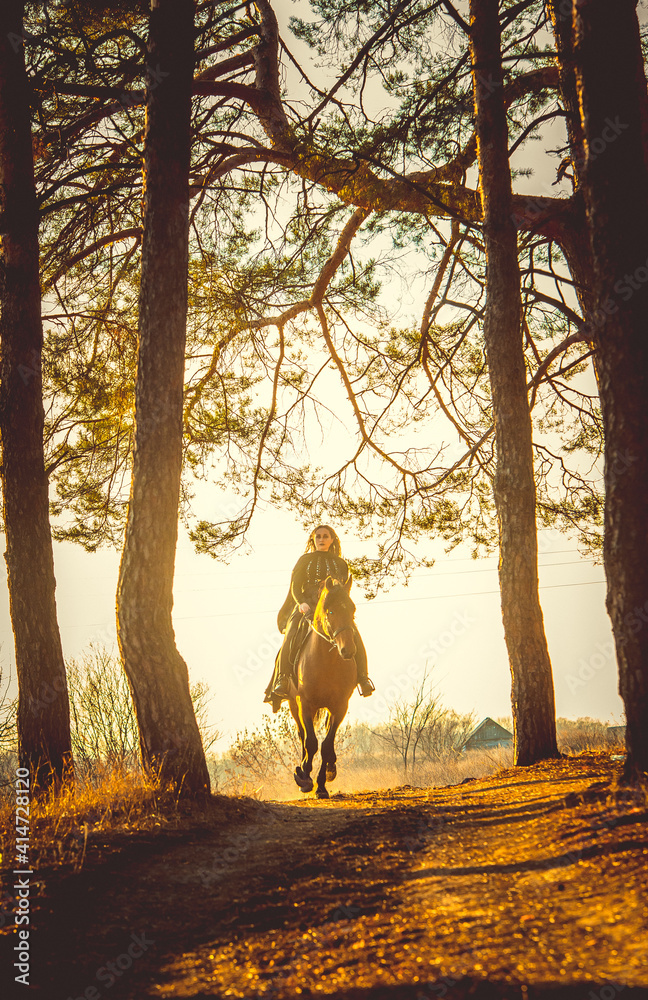 sunset, silhouette, tree, nature, walk, trees, horse riding, horse ...