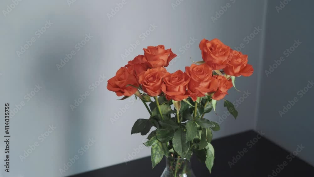 Red Roses In Clear Vase On Black Table Top Close Up Slow Zoom In Out ...