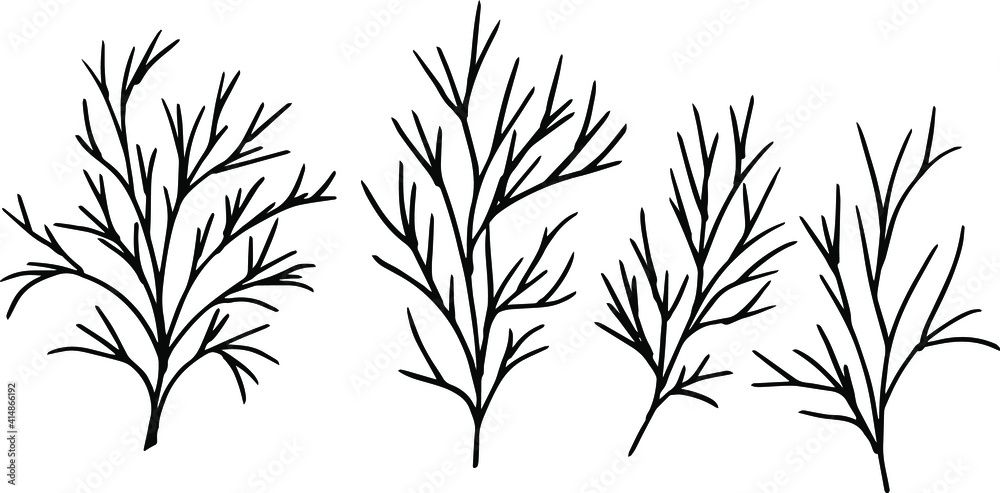simple drawing of twigs in vector. dill leaves drawing. Stock Vector ...