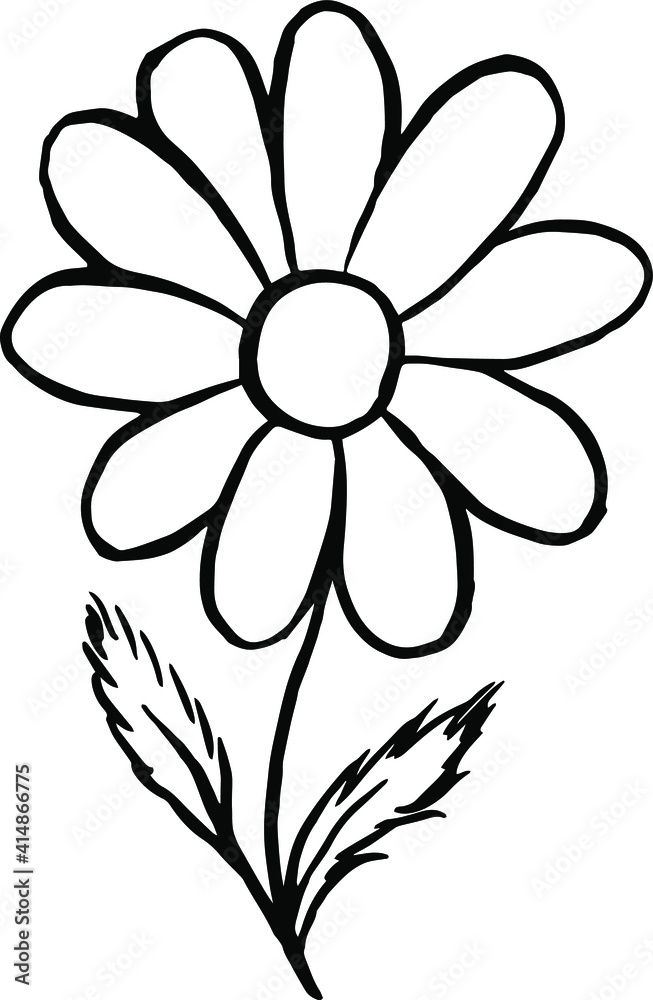 set of simple summer flowers drawings. abstract flower illustration ...