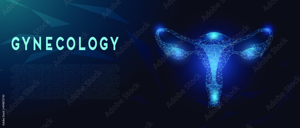 Female reproductive system, uterus organ, isolated on dark blue ...