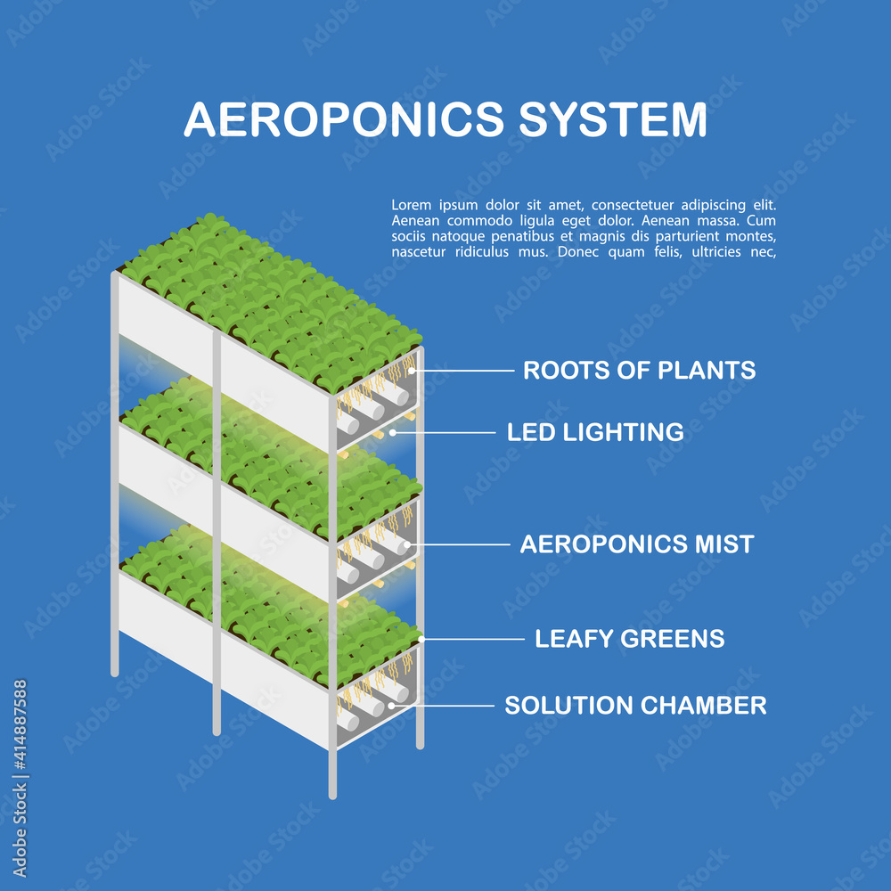Vetor do Stock: Diagram of the aeroponic setup for vertical cultivation ...
