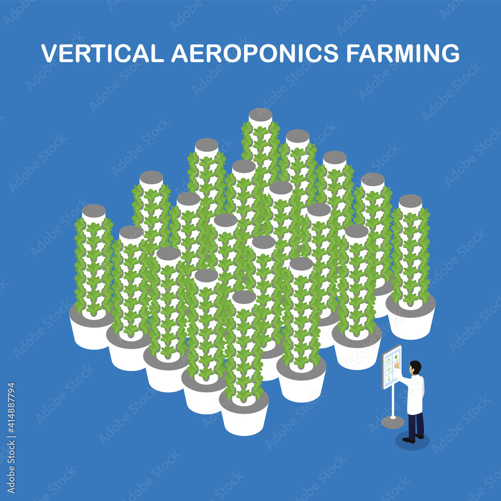 Aeroponic farm.Vertical aeroponic system for growing plants without ...